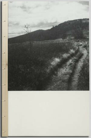 Harrison Miller: Valleys (signed) - Bookshop Anzenberger Gallery